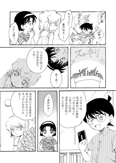 ★★名探偵コナン 同人誌★3冊セット灰原哀中心★探偵団★大熊猫★新園★★ コミック、アニメ