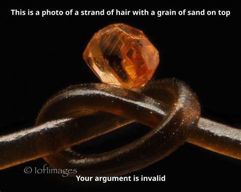 Your Argument Is Invalid Image Gallery Know Your Meme