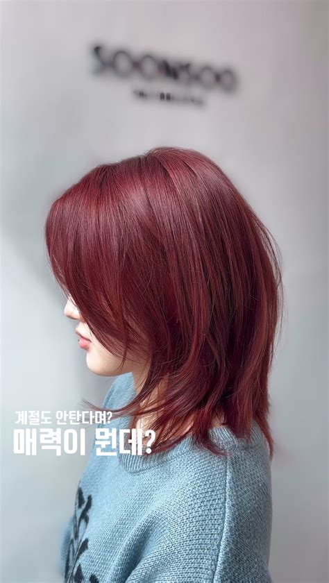 순수청담 하루 중단발 레이어드컷 허쉬컷 오렌지 덕후들 모여라🙌🙌 상큼함에 미쳐버령🧡 붉은끼 싫어하는 사람이 있는 반면에 붉은끼 좋아하는 사람이 있는데