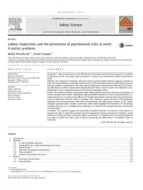 Pdf Labour Inspections And The Prevention Of Psychosocial Risks At