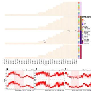RNA Modifications Vary Between Genomic And SgRNA But Not Throughout Download Scientific