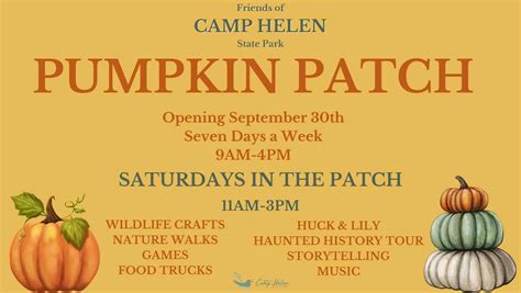 Pumpkin Patch Grand Opening Discover850
