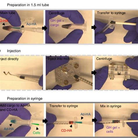 Guesthost Hydrogel Preparation And Injection A Prepare Cd Ha And Download Scientific