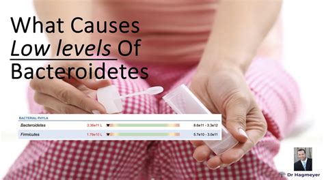 Problems With Low Levels Of Bacteroidetes On Stool Tests Dr Hagmeyer
