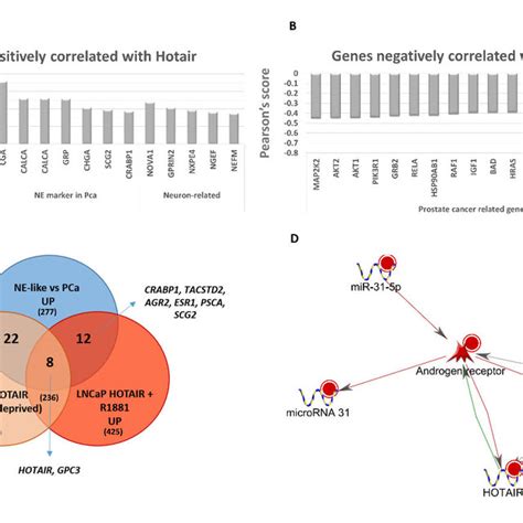 A Histogram Depicting Pearsons Correlation Coefficient For A Subset Download Scientific