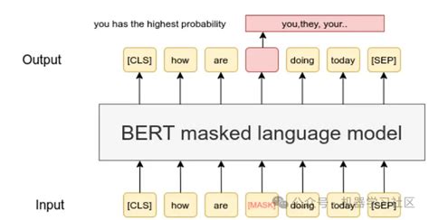 一文彻底搞懂bert（代码手撕）bert是什么 Csdn博客