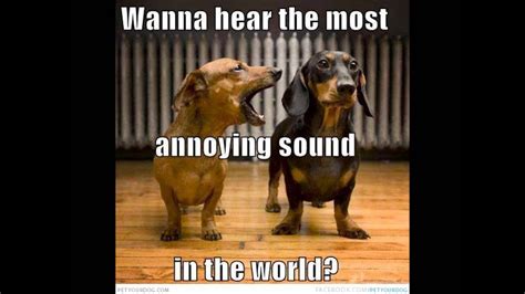 The Most Annoying Sound In The World Hq Youtube