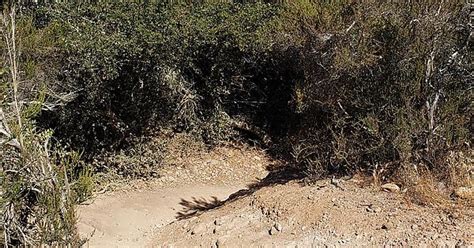 Sd Tunnels Album On Imgur