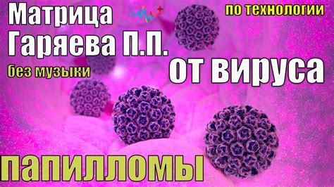 Исцеление от вируса папилломы человека Матрицей по технологии Гаряева П ...