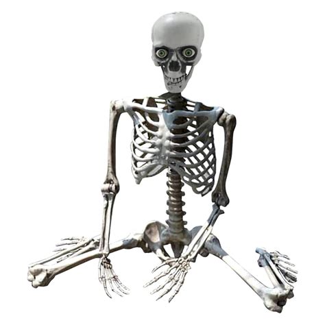 Mfkdald Halloween Skeleton Prop Deco Halloween Skeleton Life Size Full