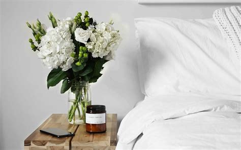 Do Plants Help You Sleep Let Your Sleep Hygiene Blossom And Grow