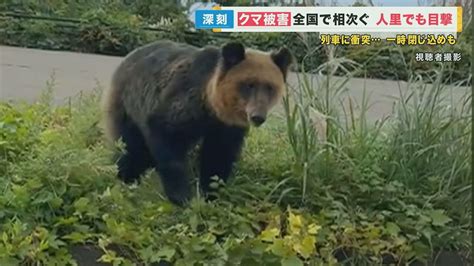 連日の悲惨なクマ被害 もし遭遇してしまったら最後の手段「撃退スプレー」一時在庫切れも 対策グッズ売り上げ好調｜fnnプライムオンライン