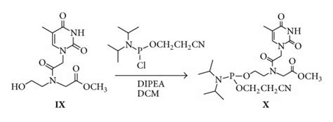 Synthesis Of Phosphoramidite Pna Building Block X Download Scientific Diagram