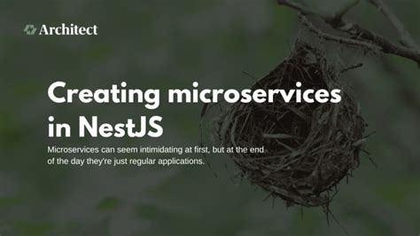Develop Nodejs Nestjs Full Application For You By Pulkitgupta299 Fiverr