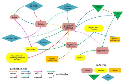 Visualization Of Subgraph Of Semnet Knowledge Graph Download Scientific Diagram