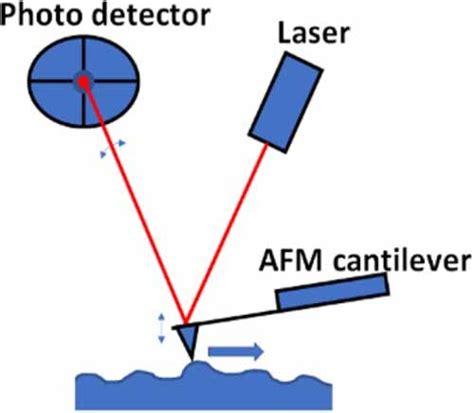 Schematic View Of The Afm Measurement Principle Download Scientific Diagram