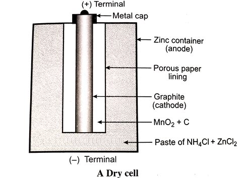 Draw Neat And Labelled Diagram Of Dry Cell Sarthaks EConnect