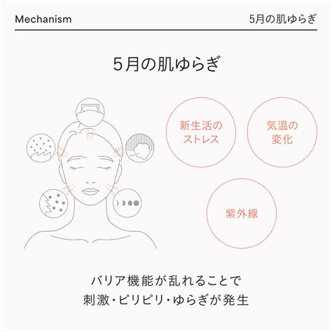 Decenciaディセンシア センシティブケアのつつむシリーズをご紹介！ ＝＝＝＝＝＝＝＝＝ 気になる方は「いいね」や「💙の絵文字