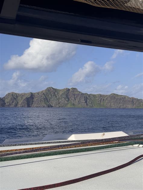 Elayna Carausu Seapeople App