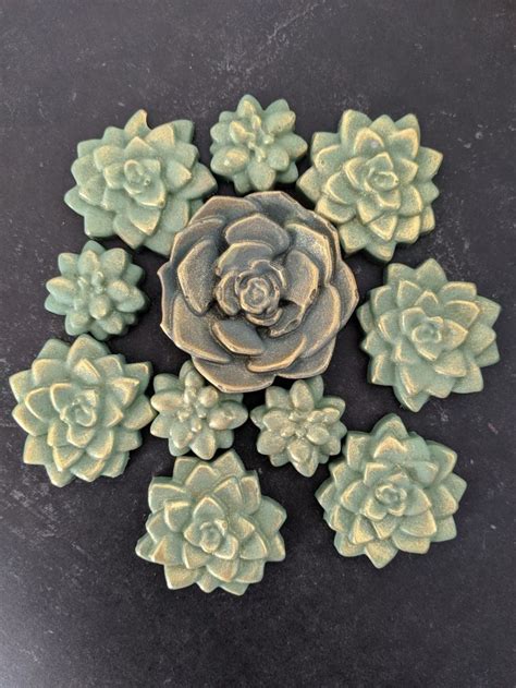Holiday Succulents ~ Cold Process Soaps By Shelly Allison Cold