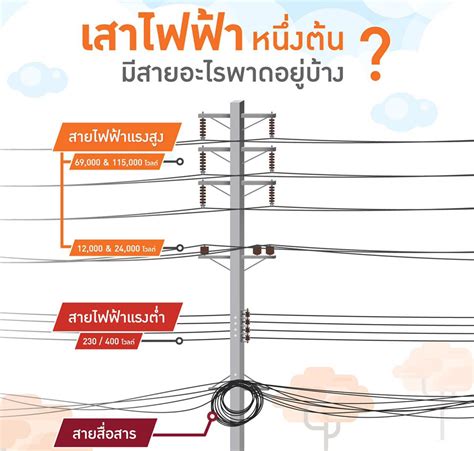 หายคาใจเสียที กฟน แจงเอง ไฉนเสาไฟฟ้ามีสารพัดสายระโยงระยาง ยันไม่ดูดตาย