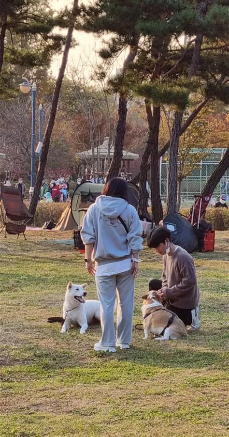 반려견훈련 조동욱 숨고 숨은고수