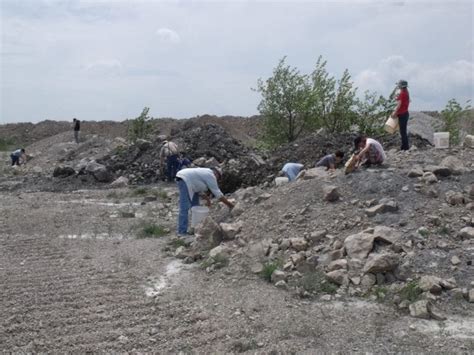 Fossil Digs Paleo Joe