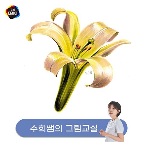 강남 미술학원 다같이 본원 수희쌤의 그림교실입니다 입시미술 기초디자인 기디 개체묘사 자연물 꽃 수채화