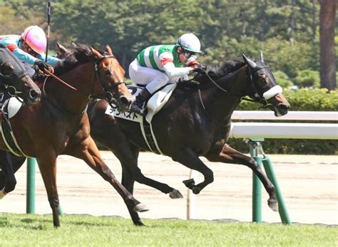 【新潟6r・3歳未勝利】シーザリオ最後の子・テンペストが4戦目で初勝利 国枝調教師「良かった」 競馬ニュース Netkeiba