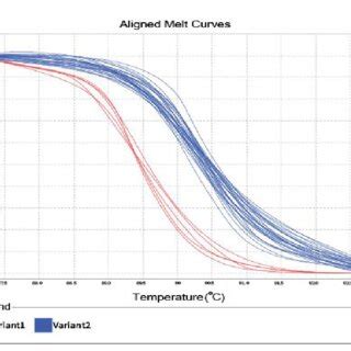 Normalized Fluorescence Melting Curve Of Codon 23 The Patients With
