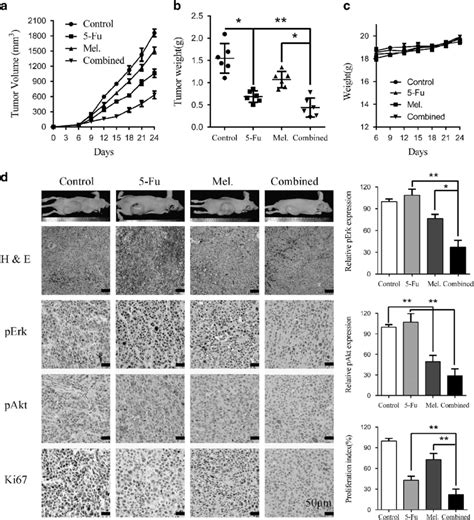 Melatonin Enhance Sensitivity To 5 Fu In Escc Cells In Vivo A Eca109