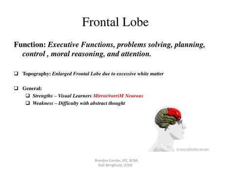 Ppt Autism Spectrum Disorder Powerpoint Presentation Free Download Id 4493133