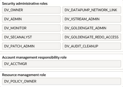 Oracle Database Vault Schemas Roles And Accounts