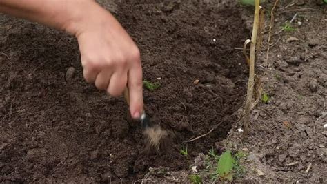 How To Use A Hand Fork Wonkee Donkee Tools Atelier Yuwaciaojp