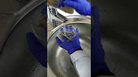 მარტყოფის N2 საჯარო სკოლის Viii კლასში ლაბორატორიული სამუშაო ჩატარდა Youtube