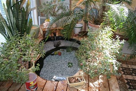 Chloe S Turtle Pond