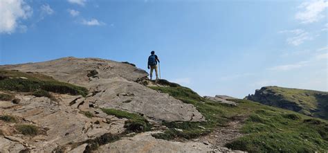 Techpro Computer Institute Computerinstitute Techpro Computer Msoffice Institute Tally