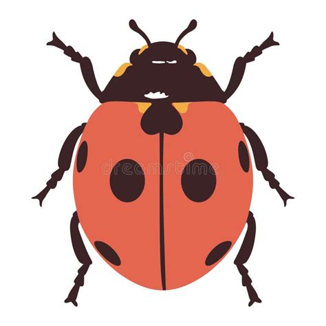 Vector Beautiful Ladybug Cartoon Illustration Isolated Stock