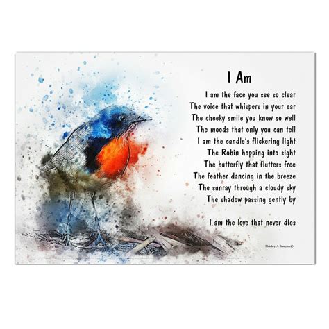 Robin Sympathy Card In Memoriam Card Sympathy Card Original Etsy
