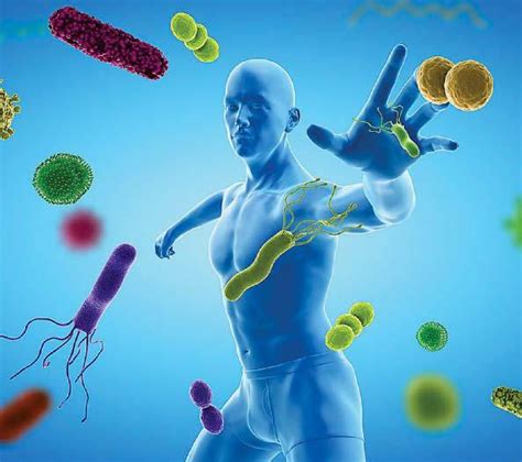 Research Unlocks The Key To Possible Cure For Ageing