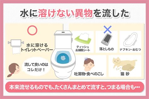 自分で出来るトイレつまりを簡単に直す6つの方法