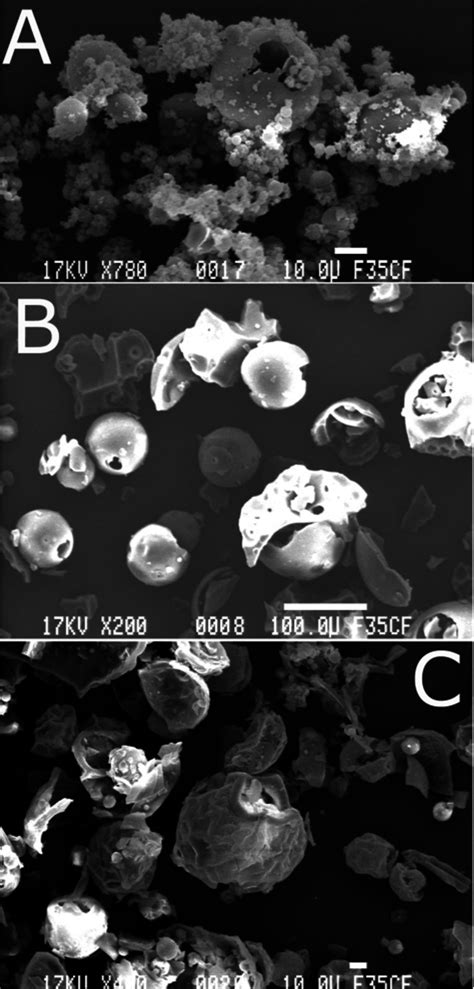 Scanning Electron Microscopy Photographs Of Microspheres Representing