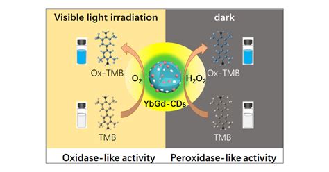 Light Controlled Regulation Of Dual Enzyme Properties In Ybgd Carbon Quantum Dots Nano Hybrid