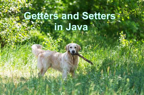 Java Getters And Setters Mastering The Essentials