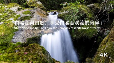 「白噪音與自然：享受白噪音溪流的陪伴」12小時 4k 溪流声 流水声 Asmr 白噪音 泉水声 冥想 学习 宝宝睡觉