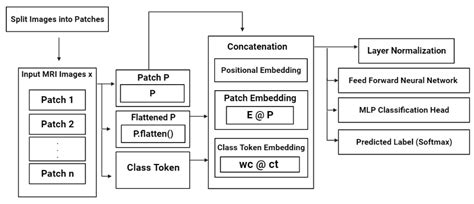 Diagnostics Free Full Text Exploring The Power Of Deep Learning Fine Tuned Vision