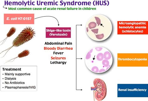 Hemolytic Uremic Hemolytic Uremic Syndrome Syndrome Hematology