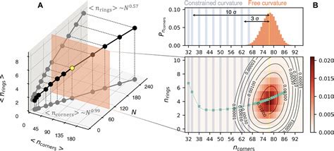 New Algorithms Inspired By Quantum Computing For Simulating Polymeric Materials Tech And