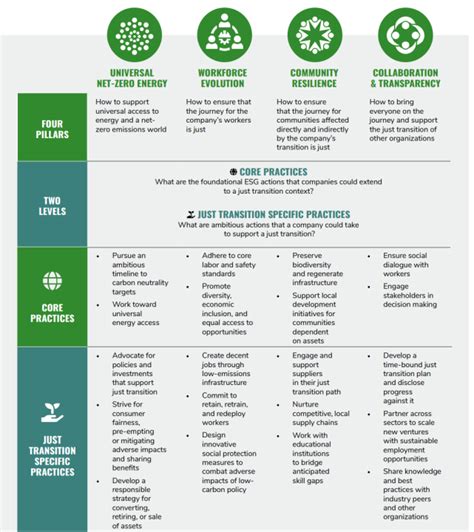 Transitioning To Net Zero A Framework Approach
