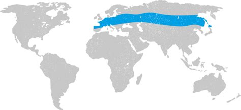 Tick Borne Encephalitis Vaccine Uk Medipill Pharmacy